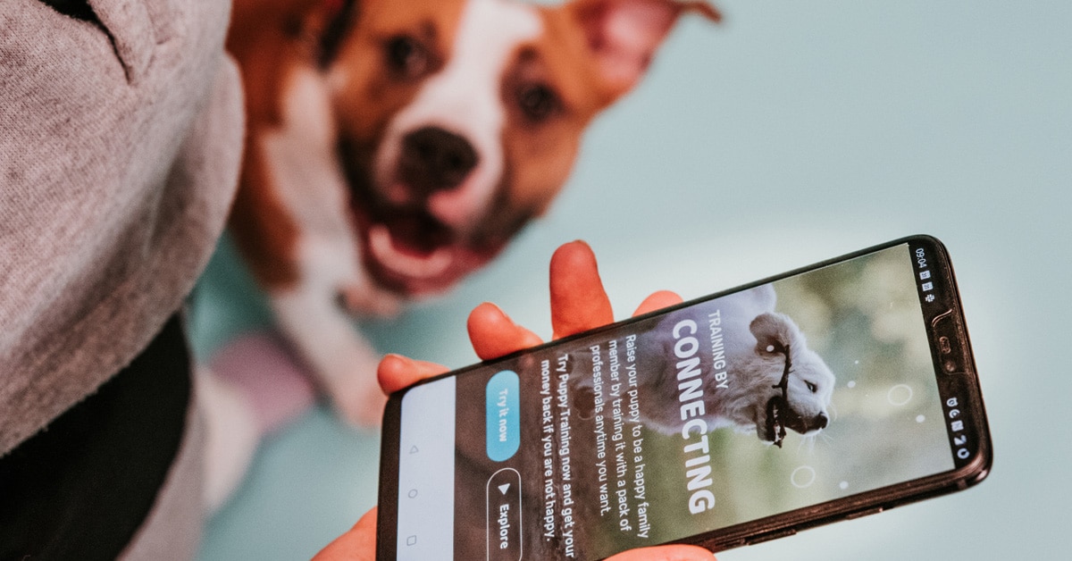 Log in - train your dog online - OneMind Dogs