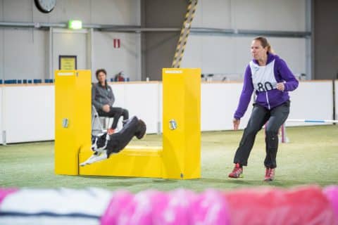 Six easy agility obstacles you can DIY at home - OneMind Dogs
