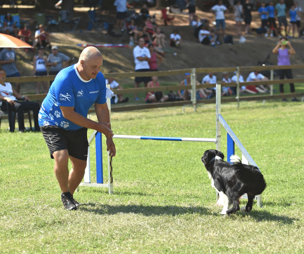 What is a Reverse Spin in Dog Agility? - OneMind Dogs