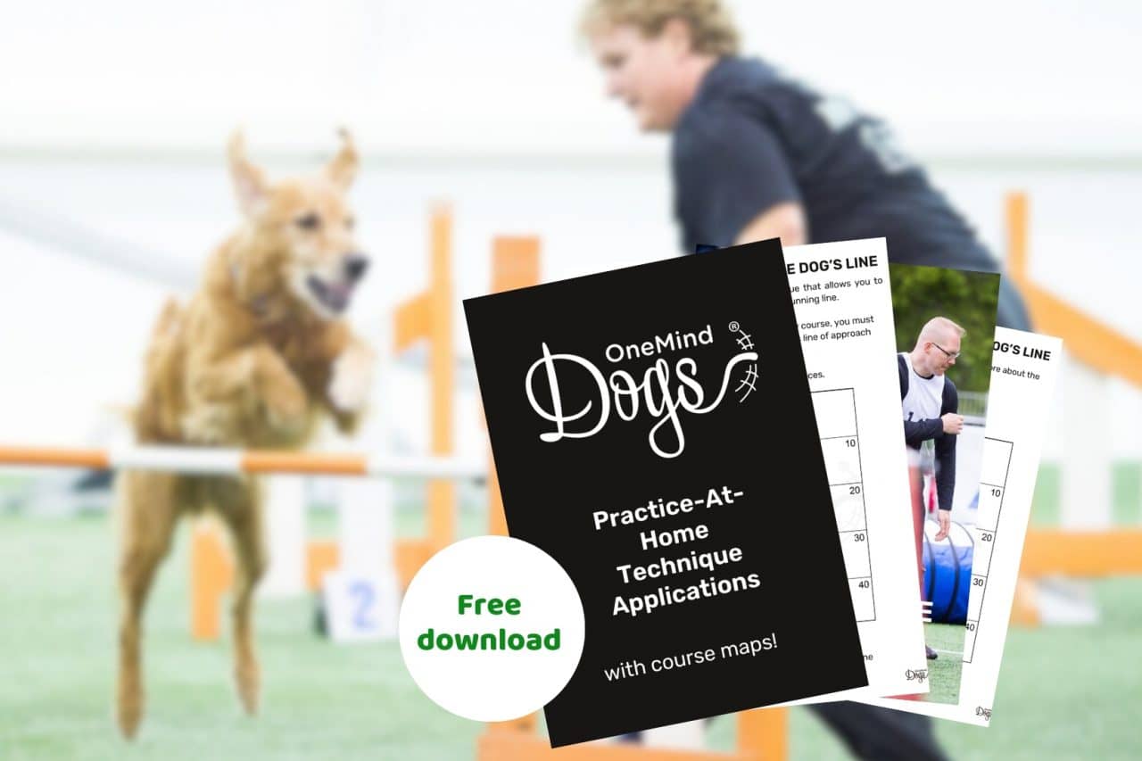 Agility Handling Technique Training eBook - With course maps!