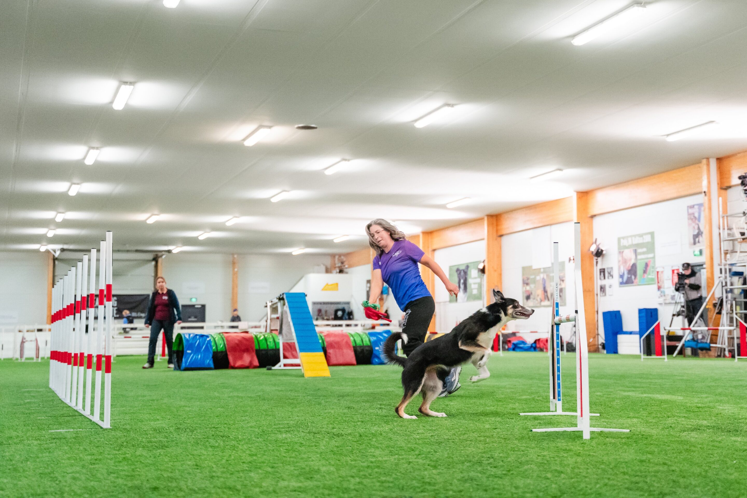 Online Dog Agility training plan checklists - OneMind Dogs