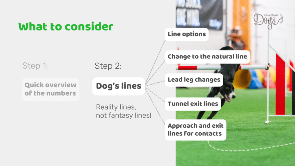 Mastering modern dog agility courses - handle lines, not obstacles