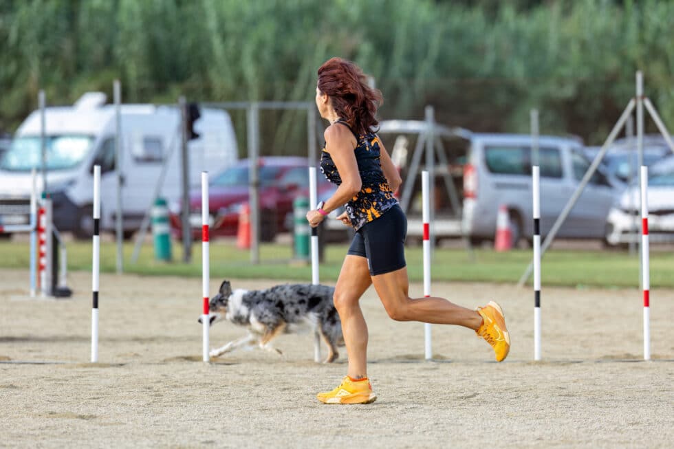 What my dog has taught me – Francesca and Asha's agility journey